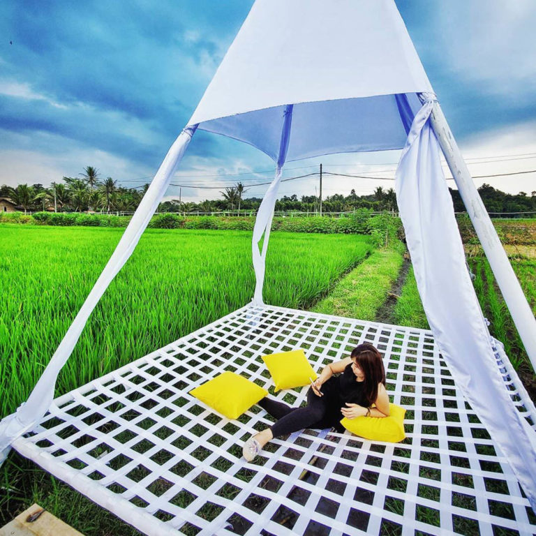 Svargabumi In Borobudur Has Photo Spots Inside A Scenic Rice Paddy