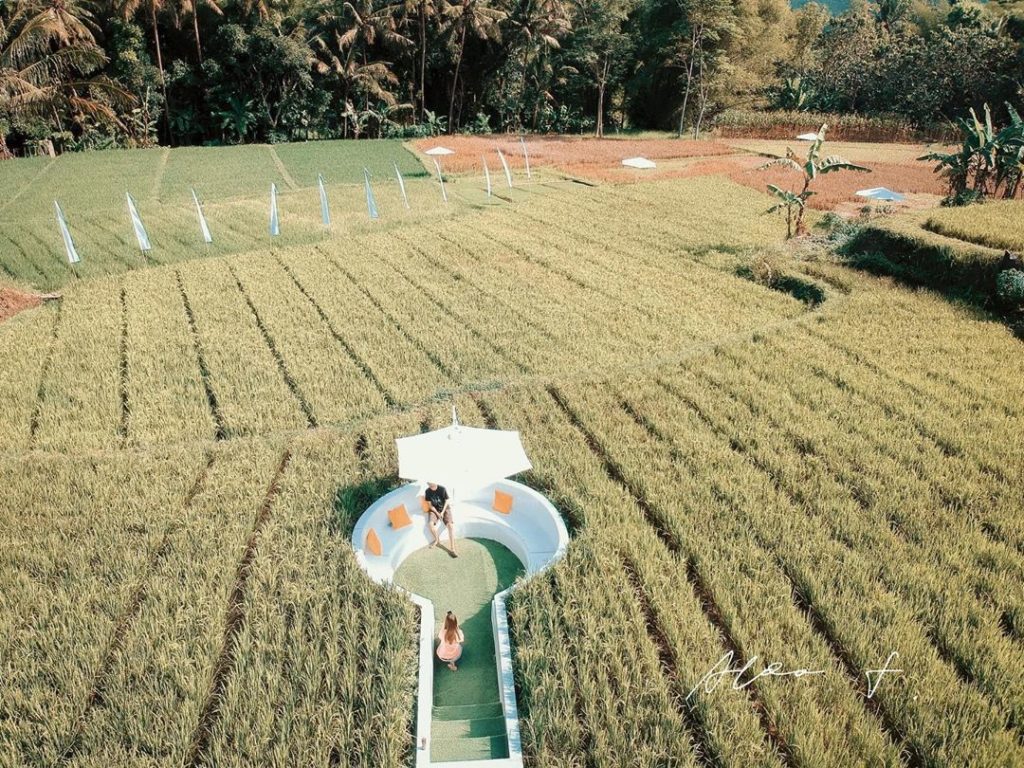 Svargabumi In Borobudur Has Photo Spots Inside A Scenic Rice Paddy