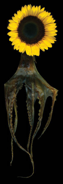 Indonesian Artist Angki Purbandono Creates Low-Cost & Creative Instant ...