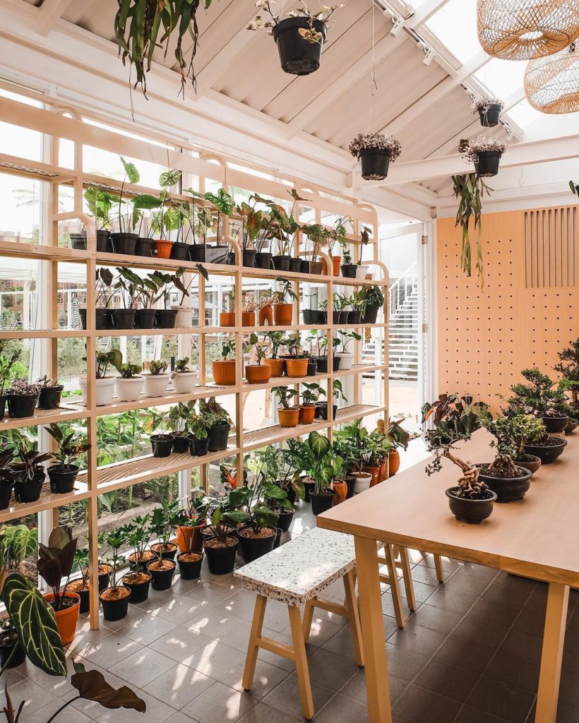 GIOI By The Farm In PIK Sits Inside A Lovely Sunflower Garden