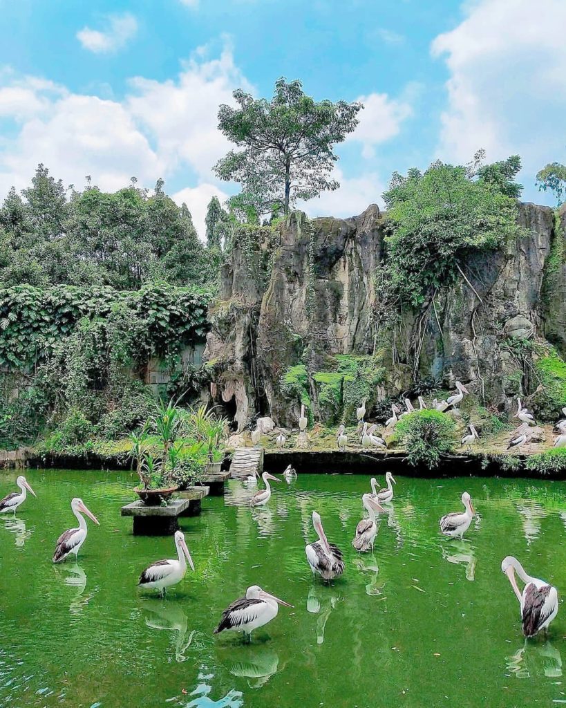 8 Parks, Islands & Nature Attractions In & Around Jakarta