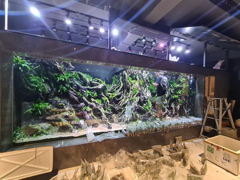 Aquarists Build Giant Aquariums & Ponds That Look Like Mini Sea Worlds